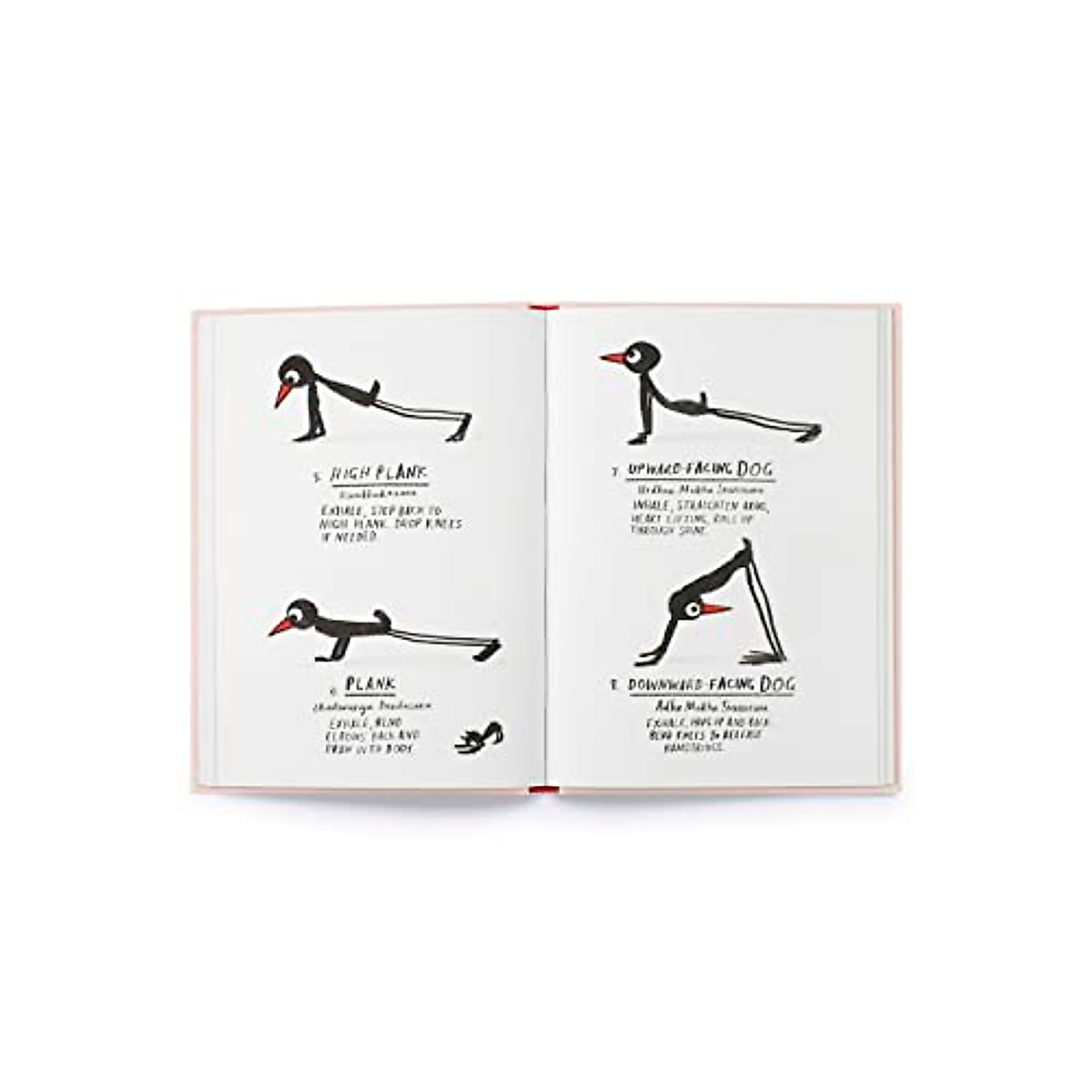 Yoga for Stiff Birds: An Illustrated Approach to Positions, Poses, and Meditations