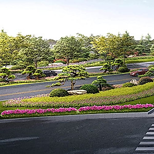 Cayway 2 Color Miniature Shrub Strips Static Shrub Vegetation Groups DIY Miniature Colorful Flower Cluster Static Grass Tuft for DIY Model Train Landscape Railroad Scenery, Pink and Red