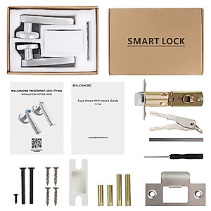 MILLIONHOME Fingerprint Door Lock Door Knob with Keypad Keyless Entry Door Lock with Handle for Home Hotel Office Apartment Bedroom Silver