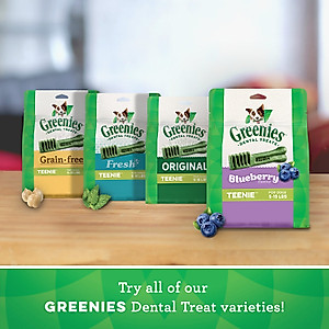 GREENIES Blueberry Flavor TEENIE Dog Dental Chews - 12 Ounces 43 Treats