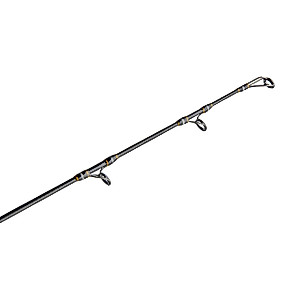 PENN Carnage III Surf Spinning Fishing Rod, Silver/Black/Gold, 10' - Medium Heavy - 20-40lb - 2pc