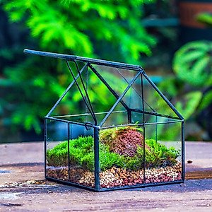 NCYP 4.25" x 4.25" x 4.92" Mini Glass Geometric Terrarium with Lid - Small House Shape Close Planter Pot for Succulents Plant - Handmade, Home Garden Office Tabletop Decor, Black (Terrarium Only)