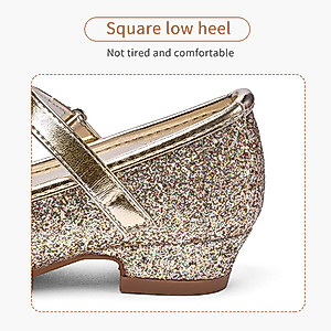 Stelle Girls Dress Shoes Glitter Princess Shoe Flower Mary Jane Low Heels Party Wedding Prom Footwear for Toddler Kids(T08-Gold, 2ML)