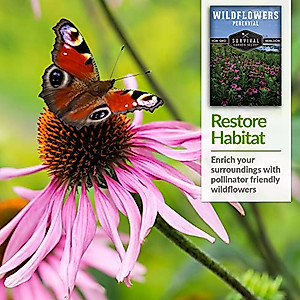 Survival Garden Seeds - Perennial Wildflower Seed for Planting - Packet with Instructions to Plant and Grow in Your Home Garden - Non-GMO Heirloom Varieties