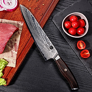Dnifo Japanese Chef Knife 8-inch AUS-10 73-layer Damascus Stainless Steel Full Tang Non-stick Blade Kitchen Knife, Ergonomic Wooden Handle with Gift Box