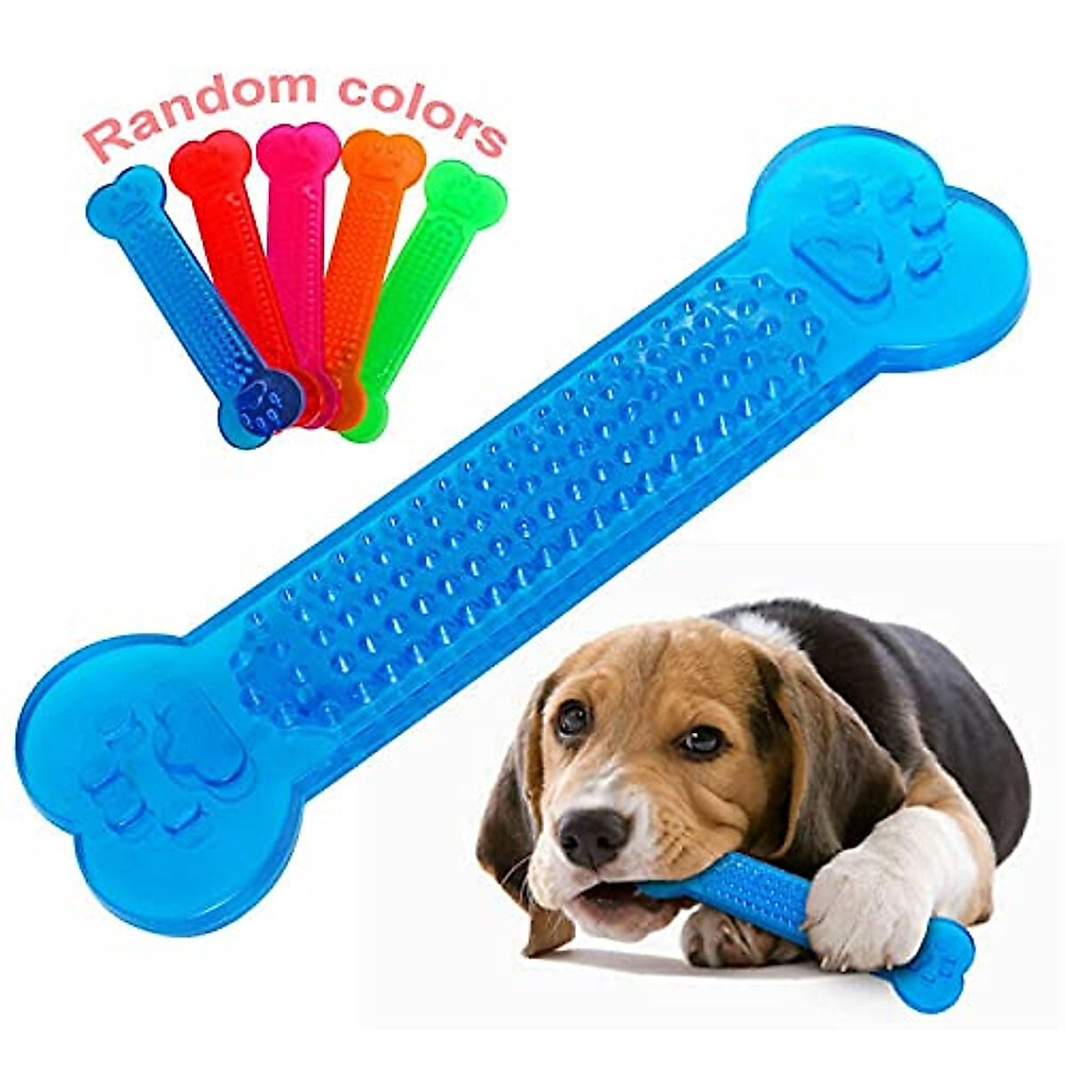 Whipin Dog Toys Dog Chew Toys Rubber Bone Toy Aggressive Chewers Dog Toothbrush Doggy Puppy Dental Care for Dog Accessories (Color : 1PCS Random Color)