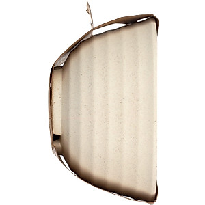 R IDEAS Eco Friendly Wheat Fiber Cereal Bowl, 1 EA