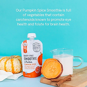 Serenity Kids 6+ Months Dairy-Free Smoothie Baby Food | USDA Organic | Grass Fed Collagen Protein | 3.5 Ounce BPA-Free Pouch | Pumpkin Spice | 6 Count