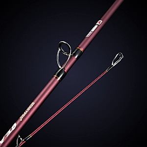 Berrypro Surf Spinning & Casting Fishing Rod Carbon Fiber Travel Fishing Rod(9-Feet & 10-Feet & 12-Feet & 13.3-Feet) (10'-Casting 2-Piece)