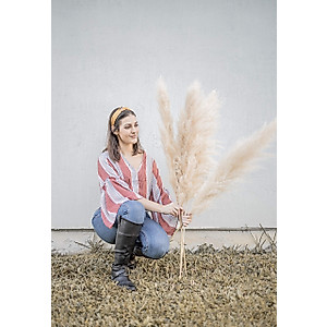 48" Extra Large Pampas Grass Stems Beige- 4 Pampas Stems - Tall-Pampas Grass for Floor Vase - Wedding Decoration