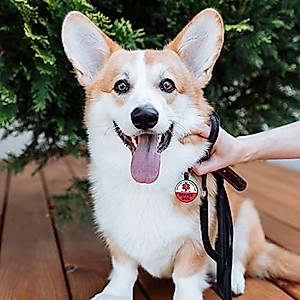 MYLUCKYTAG Service Dog Tag, QR Code Silicone Pet ID Tag Dog Tag, Online Pet Profile, Pet Location Alert Email, Digital Pet Tag, Quiet Dog Tag, Durable Pet ID, Dog Collar Tag, Engraved Pet Tag