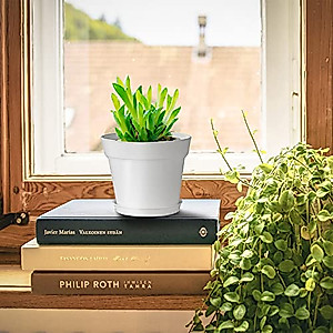 SwinDuck 4 inch Small Plant Pots, 28 Pack Plastic Planters with Drainage Holes and Saucers for Flowers Plants, Succulents, Seed Starting Pots, White