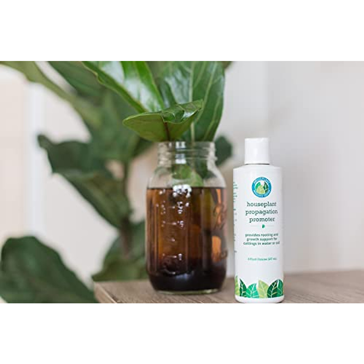 Houseplant Propagation Promoter & Rooting Hormone, Root Stimulator, Plant Starter Solution for Growing New Plants from Cuttings (Formulated for Fiddle Leaf Fig or Ficus Lyrata)