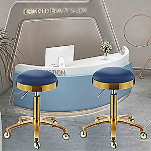 LWBLJX Rolling Bar Stool Beauty Salon Counter Makeup Medical Chair with Swivel Wheels, PU Leather Seat & Stainless Steel Frame, Adjustable 44-59 cm(Color:Blue)