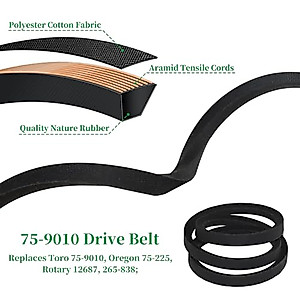 BOSFLAG 84-1980 Snow Blower Paddles with 75-8780 Scraper 75-9010 Belt Replaces 75-9090, 80-0660 for Toro 38182, 38183, 38173, 38170, 38171, 38172, 38175, 38176, 38177, 38178 CCR Powerlite Snowthrowers