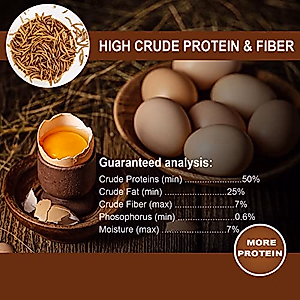 Euchirus Non-GMO High-Protein Large Dried Mealworms for Chickens, Natural Grubs and Poultry Treats as Chicken Feed,Duck Food, Wild Birds Seed,Fish Food,Reptile Food,Amphibian Food(Mealworms-5LB)