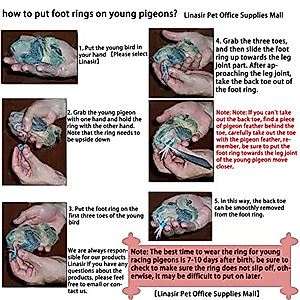 200 Pcs Anillos Para Palomas Mensajeras 2023 Leg Rings for Cockatiels Parrot Rings Leg Bands Parakeet Leg Bands Pigeon Pigeon Ring Pigeon Band Bird Leg Ring Chicken Leg Band with Serial Number