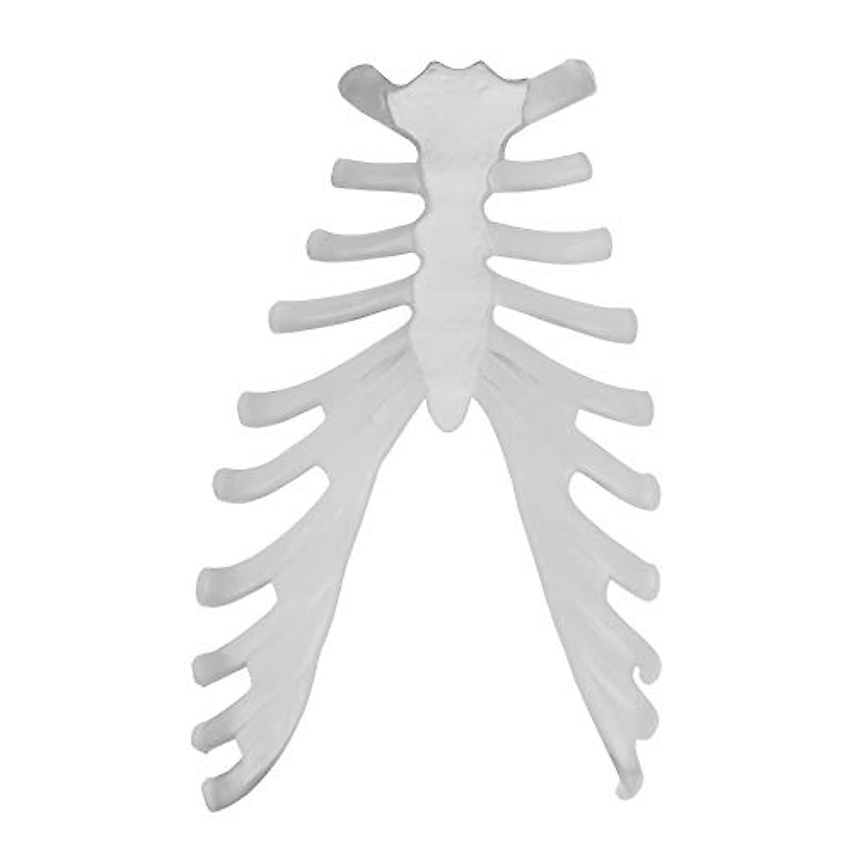 Vision Scientific VAS220-CC0 Life Size, Total Disarticulated Skeleton | Bones & Osteological Features Numbered for Identification | 3-Part Skull | Key to Numbered Structures W Manual & Carrying Case