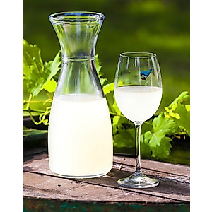 Simply Charmed Bird Wine Glass Charms - Magnetic Drink Markers to Identify All Your Glassware - Set of 6 Cocktail Charms