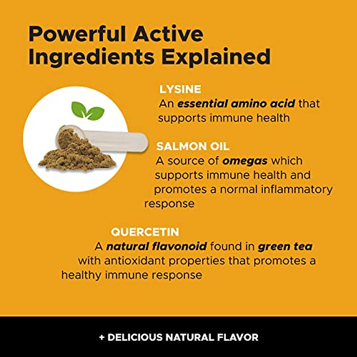 PetHonesty Immune Health Lysine - Supplement Powder for Cats - Immune Health, Cat Allergy Relief - Sneezing, Runny Nose, Watery Eyes - Cats & Kittens of All Ages - Omega 3s, L-Lysine - Chicken & Fish