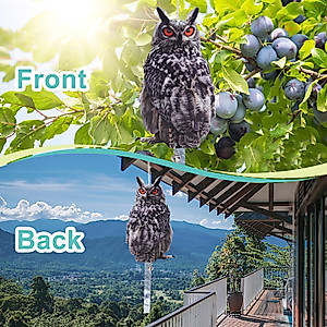 Owl Scarer for Gardens, 2Pack Fake Owl Hanging Effective Cardboard Owl Deterrent for Garden Patio Windows