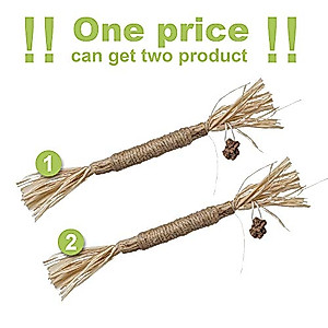 PAZ'S GIFT Catnip Toy Cat Toys Catnip Toy cat chew Toy cat Kicking silvervine Stick Teeth Cleaning Cute Kitten Teething Indoor Interactivecat Dental Care