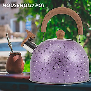 Hemoton Stovetop Tea Kettle Stainless Steel Whistling Teapot Water Kettle Stove Coffee Kettle with Cool Grip Ergonomic Handle for Boiling Water 2L Purple