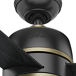 Hunter Fan Company, 59290, 60 inch Bureau Matte Black Ceiling Fan with LED Light Kit and Handheld Remote