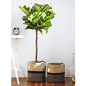 Large Modern Woven Rope Basket. Woven Storage Basket Decorative Rope Basket Wooden Bead Decoration for Blankets,Toys,Clothes,Shoes,Plant Organizer Bin with Handles Living Room Home Decor, Jute.