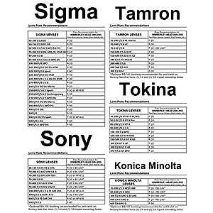 Wimberley WH-200 Wimberley Gimbal Head II - Made in USA