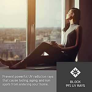 DIY - Snapguard Solutions Residential Ceramic Window Tint, Provides Heat Control and UV Protection 2.5' ft x 12' ft Roll (25%), 2 Mils