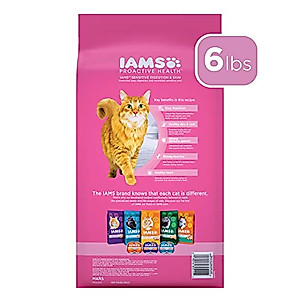 IAMS PROACTIVE HEALTH Adult Sensitive Digestion & Skin, Dry Cat Food with Turkey Cat Kibble, 6 lb. Bag