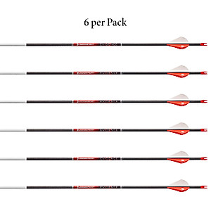 BLOODSPORT Evidence Precise Durable Carbon Fletched Hunting Arrow for Compound Bow - 31" Length.165 Micro-Diameter.001 Straightness, 6 Pack, 300 Spine,Black