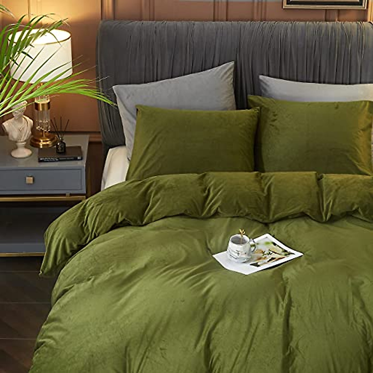 Ivellow Velvet Duvet Cover Queen Set Sage Green Velvet Duvet Cover Queen Velvet Comforter Cover 3Pcs Ultra Soft Duvet Cover Breathable Solid Luxury Flannel Velour Duvet Cover Zipper Closure Corner Tie