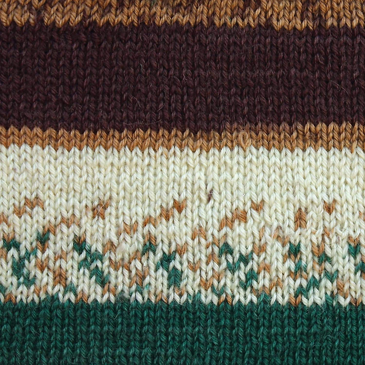 Patons Kroy Socks Yarn, 2-Pack, Woodsie