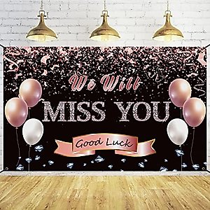 Trgowaul Retirement Farewell Party Decorations,Rose Gold We Will Miss You Sign Banner Backdrop Goodbye Party Decorations,Going Away Party Retirement Party Bye Office Work Graduation Party Decorations