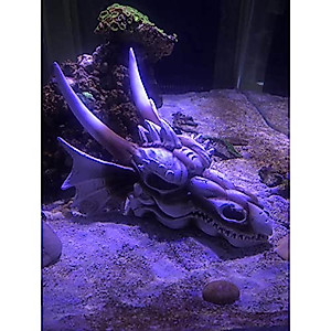 AzjioLi Aquarium and Fish-Tank Decorations Reptile-Hide Terrarium-Décor - Dragon Imitation Skull Model(Medium)
