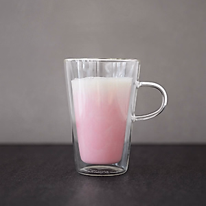 Bodum 13.5 oz Canteen Insulated Glass Mug, Double Wall High Heat Borosilicate Glass, 2 Pack