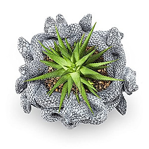 PERFECTOP Large Medusa Head Planter, Solar Lights Medusa Garden Statue, Creepy Scary Goddess Lady Face Flower Pot Succulent Gothic Planter for Indoor Outdoor Plants, Patio Yard Home Decor, Unique Gift