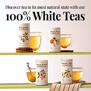 The Republic of Tea Asian Jasmine White Tea, 50-Count