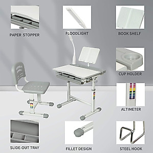 Diroan Kids Desk and Chair Set, Multi-Functional Height Adjustable Children School Study Desk with Storage, Tilt Desktop, LED Light, Book Stand & Metal Hook for Boys Girls, Pink