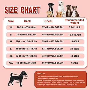 V.PET.B.R Dog Surgery Recovery Suit,Female Male Dog Onesie for Spay Neuter,Substitute E-Collar & Cone,Anti-Licking Breathable Onesie for Small Medium Large Dogs,Strawberry M