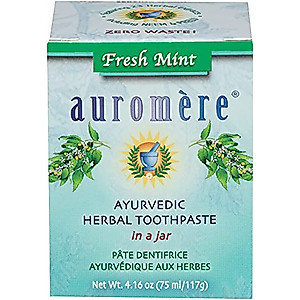 Ayurvedic Herbal Toothpaste in a Jar, Fresh Mint (4.16 oz) (Pack of 1 (4.16 oz))
