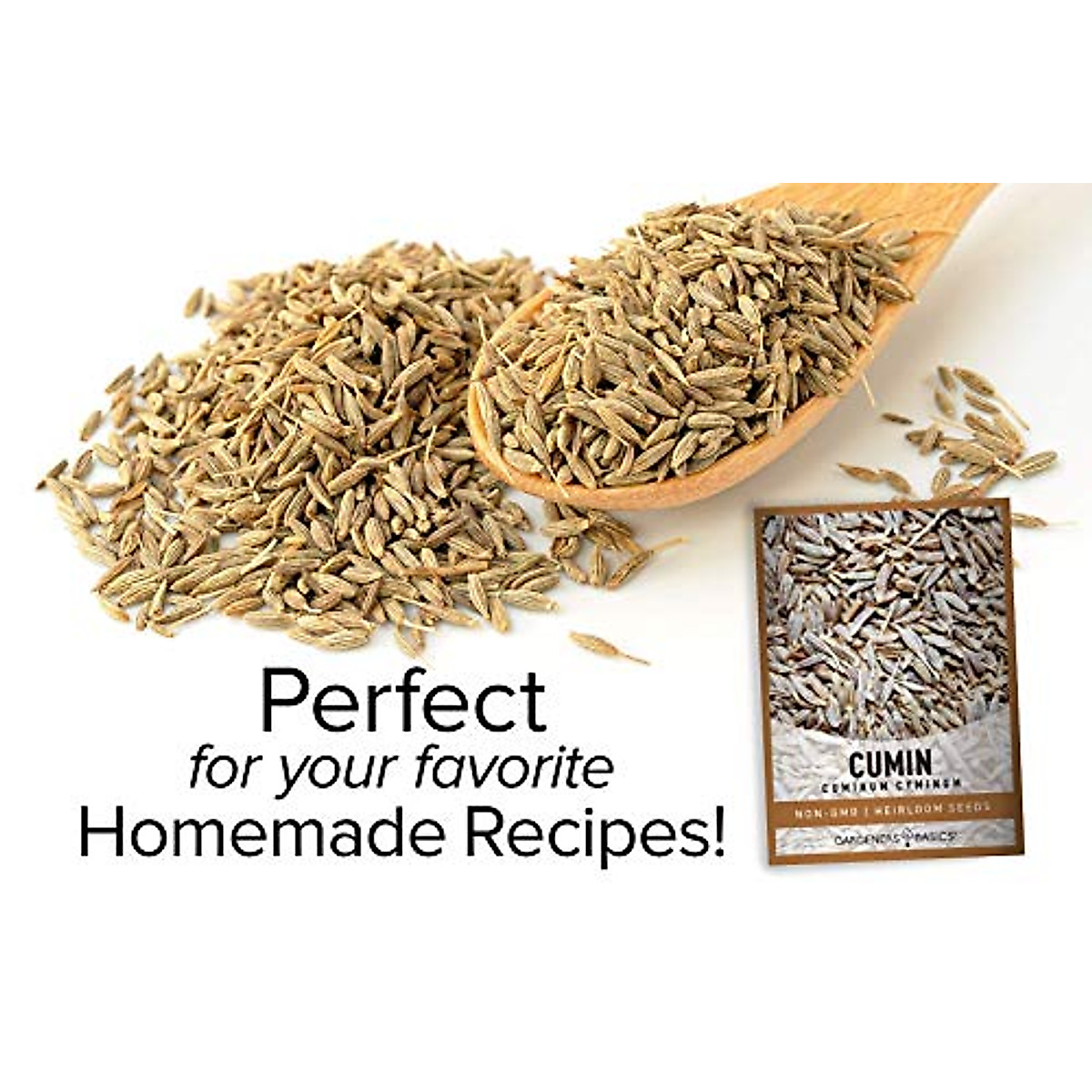 Cumin Seeds for Planting is A Heirloom, Non-GMO Herb Variety- Cuminum Cyminum Herb Seeds Great for Indoor and Outdoor Gardening by Gardeners Basics