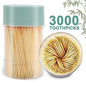 TRTRin Bamboo Toothpicks [3000 Count] - With Reusable Toothpick Holder, Sturdy Smooth Finish Tooth Picks, for Party, Appetizer, Olive, Barbecue, Fruit and Teeth Cleaning, Green.
