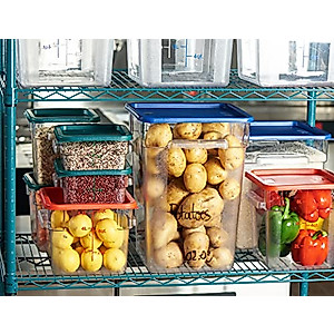 CURTA 4 Pack Food Storage Container with Green Lid - NSF Commercial Grade in 4.0 Qt - Square, Clear, Polycarbonate
