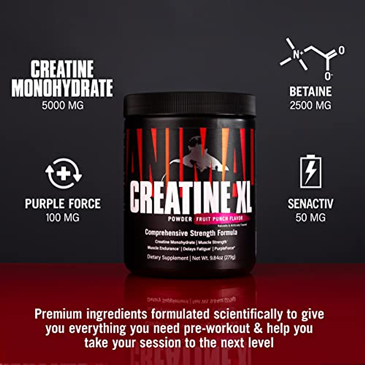 Animal Creatine XL Powder - Enhanced Pre Workout Creatine Monohydrate Supplement - Support Brain Health, Delay Fatigue, Enhance Endurance, Improve Recovery, Men and Women - Fruit Punch