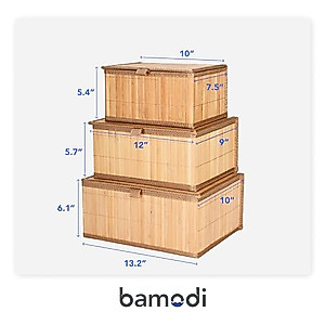 Bamboo Decorative Storage Boxes With Lids - Nesting Rectangular Lidded Box for Organization - Stackable Basket with Cloth Liner - Organizer for Toys, Home, Office - Woven Basket - Set of 3