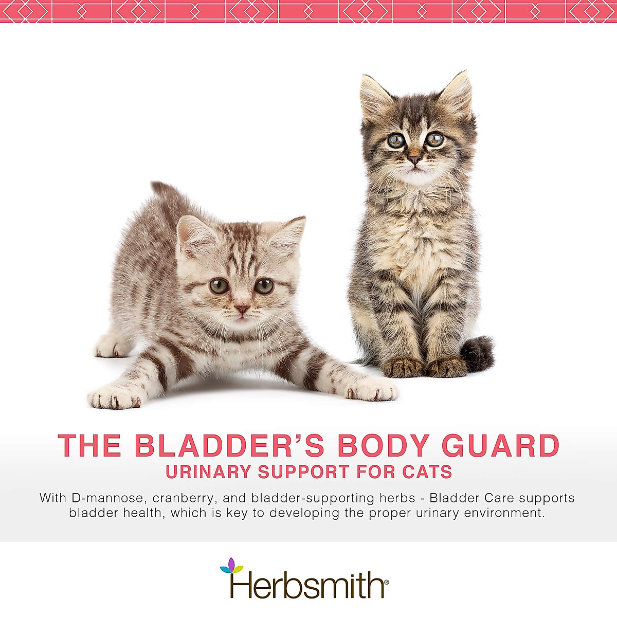 Herbsmith Bladder Care- Bladder Support for Cats- Urinary Tract Cat Supplement – Maintains Kidney Health for Cats– 75g