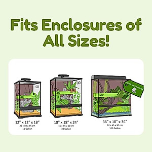 GECKOPIA Reptile Flex Bridge | Reptile Bridge | Gecko Bridge | Gecko Ledge | Reptile Vine | Reptile Terrarium Decoration | Reptile Branch Alternative (Green)